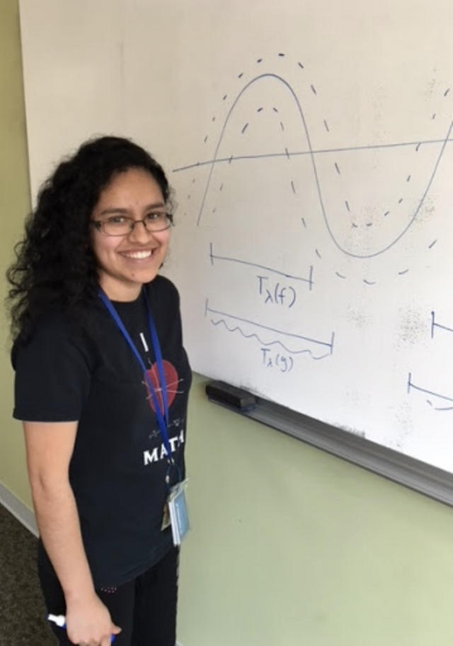 Mathematics Industrial Immersion Program (IIP) | GMU College of Science Mathematics Industrial Immersion Program (IIP) | GMU College of Science